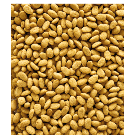 NUTRI BIRD P19 Original 10kg Sack
